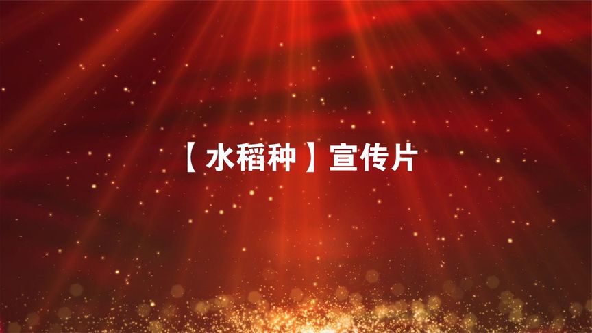 水稻种子宣传片 稻种 广告片制作 水稻种子制作 稻种广告片制作
