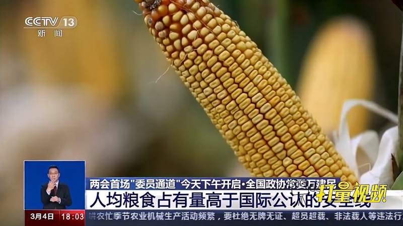 万建民:我国粮食总产量连续六年超过1.3万亿斤|共同关注
