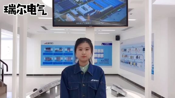 瑞尔电气电表箱知识讲解:第三代表箱“高速电力载波抄表”