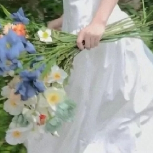 升级中的璐璐子 