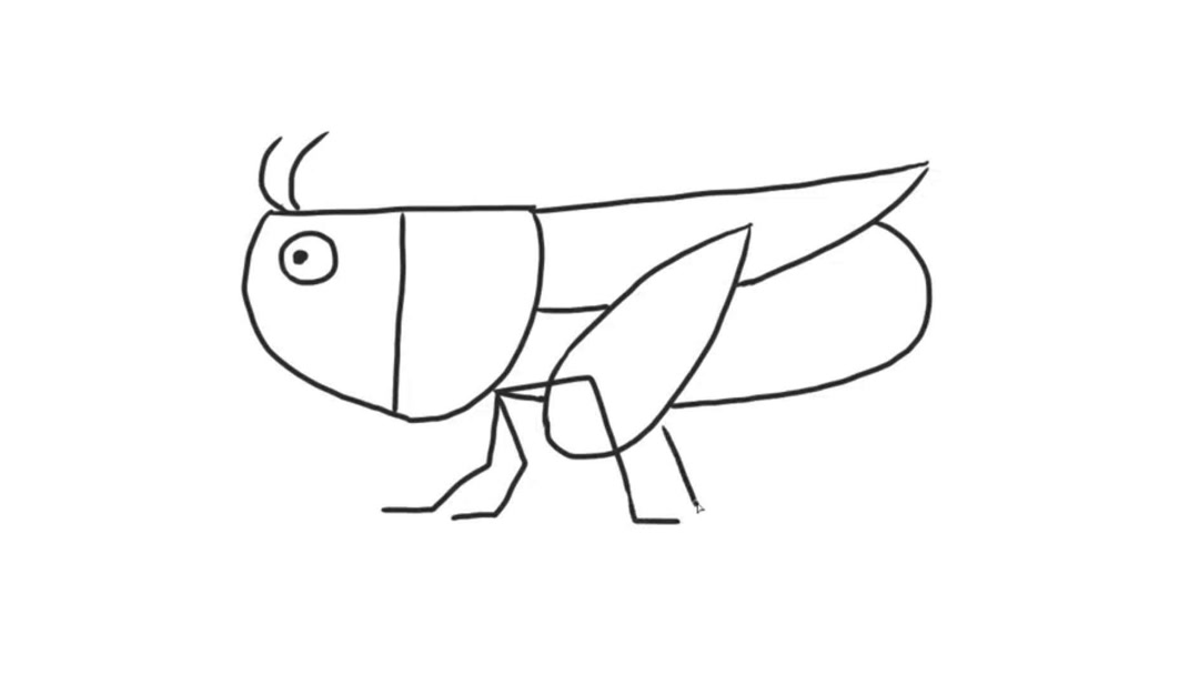 简笔画动物蝗虫亲子绘画儿童简笔画视频 宝宝轻松学画画