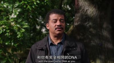 纪录片:生命之树的进化是如此神奇!DNA决定了物种的进化!
