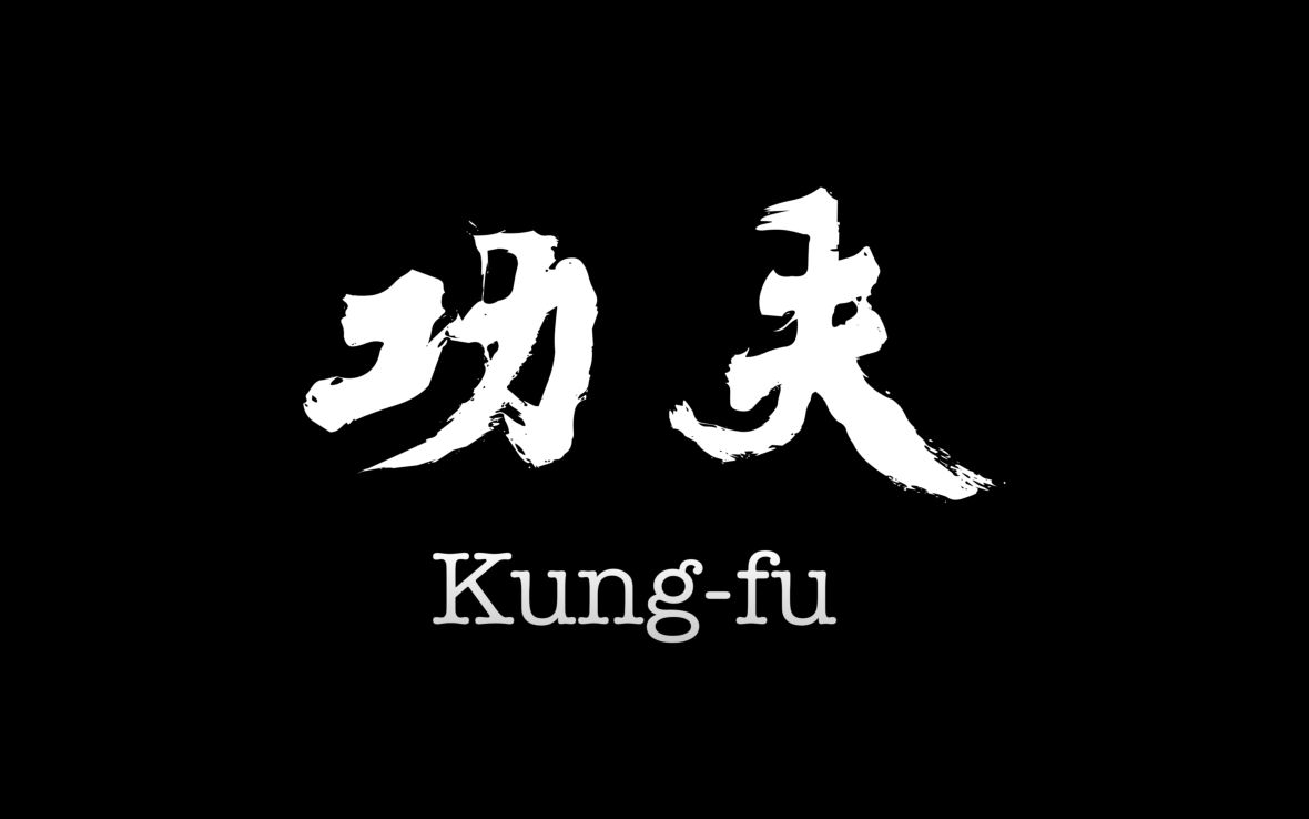 【全球化时代中法人文交流模式新探】厦门大学之中国功夫——梅花拳...