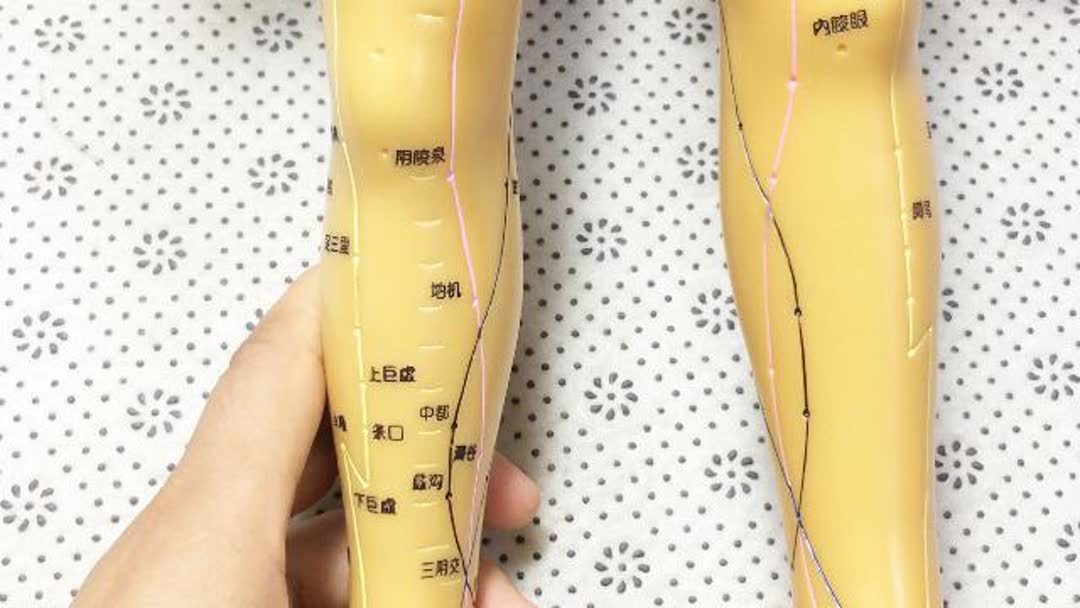 在家就能自测糖尿病?按揉地机穴来辅助控糖,效果很好来试试吧!