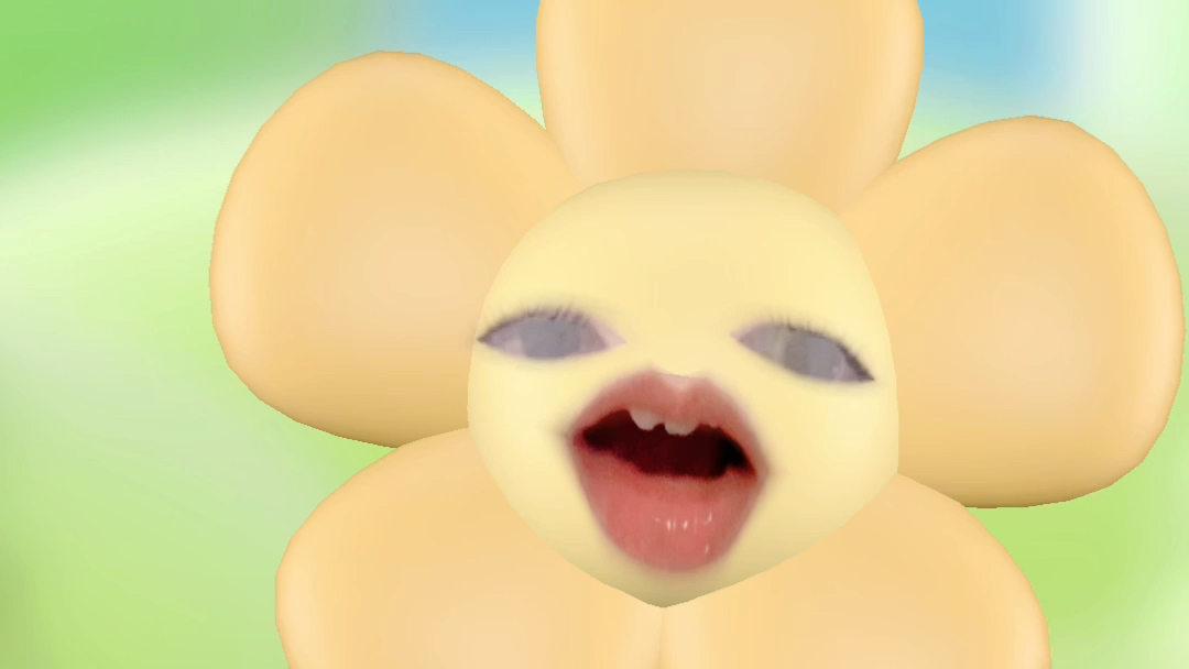 民法典之生态环境损害赔偿的范围