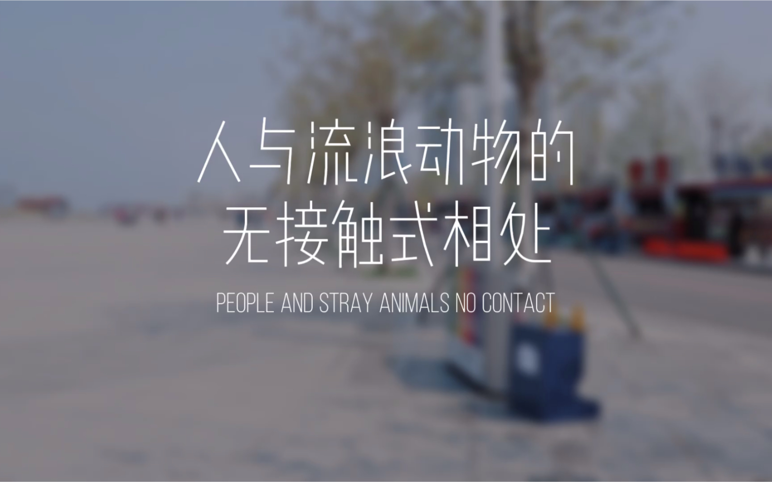 【设计向善】人与流浪动物的无接触式相处|垃圾分类 & 流浪狗救助