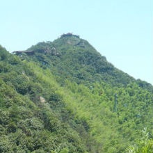 安10062698 