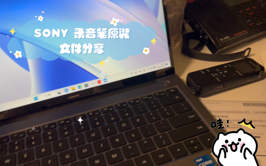 SONY 录音笔原装文件分享