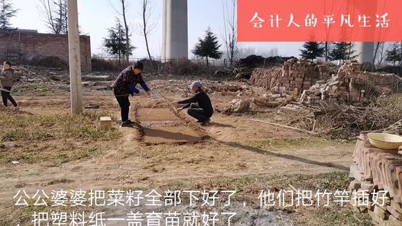 刘会计回老家看到公公婆婆忙着育苗,感叹今年的绿色蔬菜不用买了