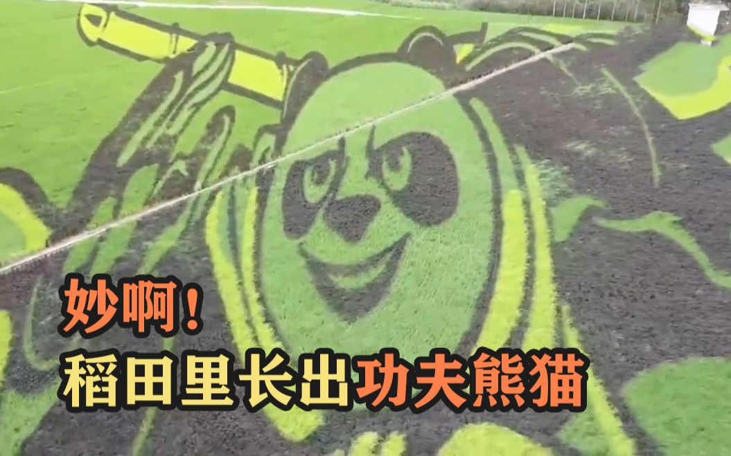 妙啊!稻田里长出功夫熊猫