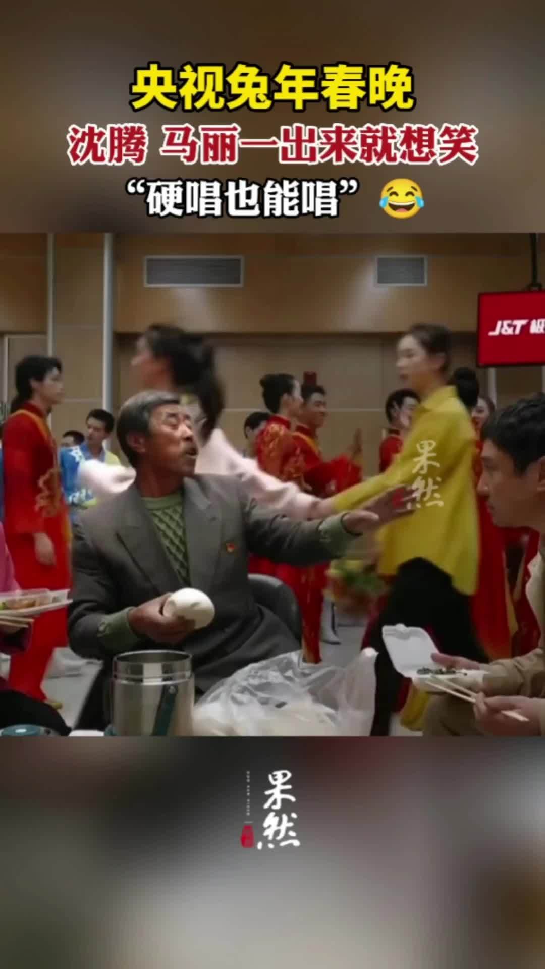 #央视兔年春晚 #沈腾马丽模仿凤凰传奇 #微电影我和我的春晚