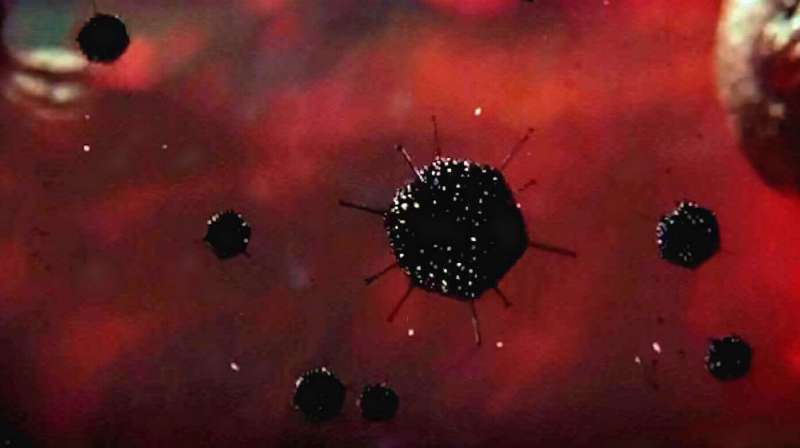 病毒通过杀害细胞进行繁殖,对抗改变了人类进化历程