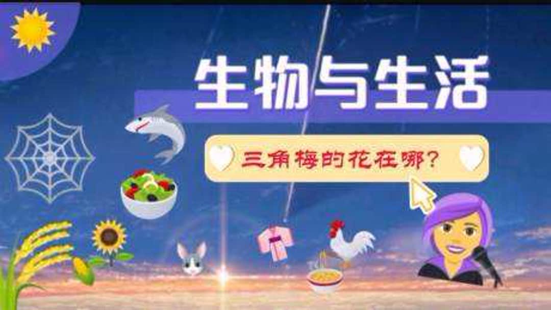 三角梅的花在哪?花的结构如何呢?(作者原创)