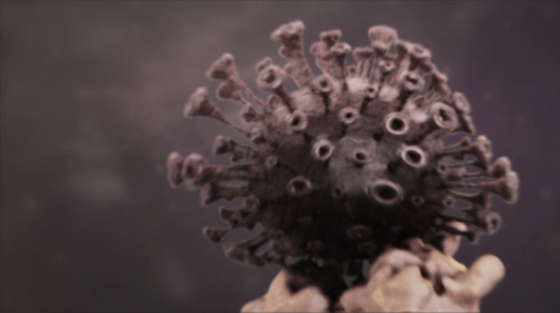 最新原创3D动画模拟病毒是怎样进入人体