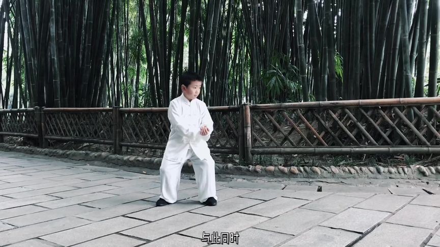 我是中外人文交流小使者李梓涵,讲解中国历史文化