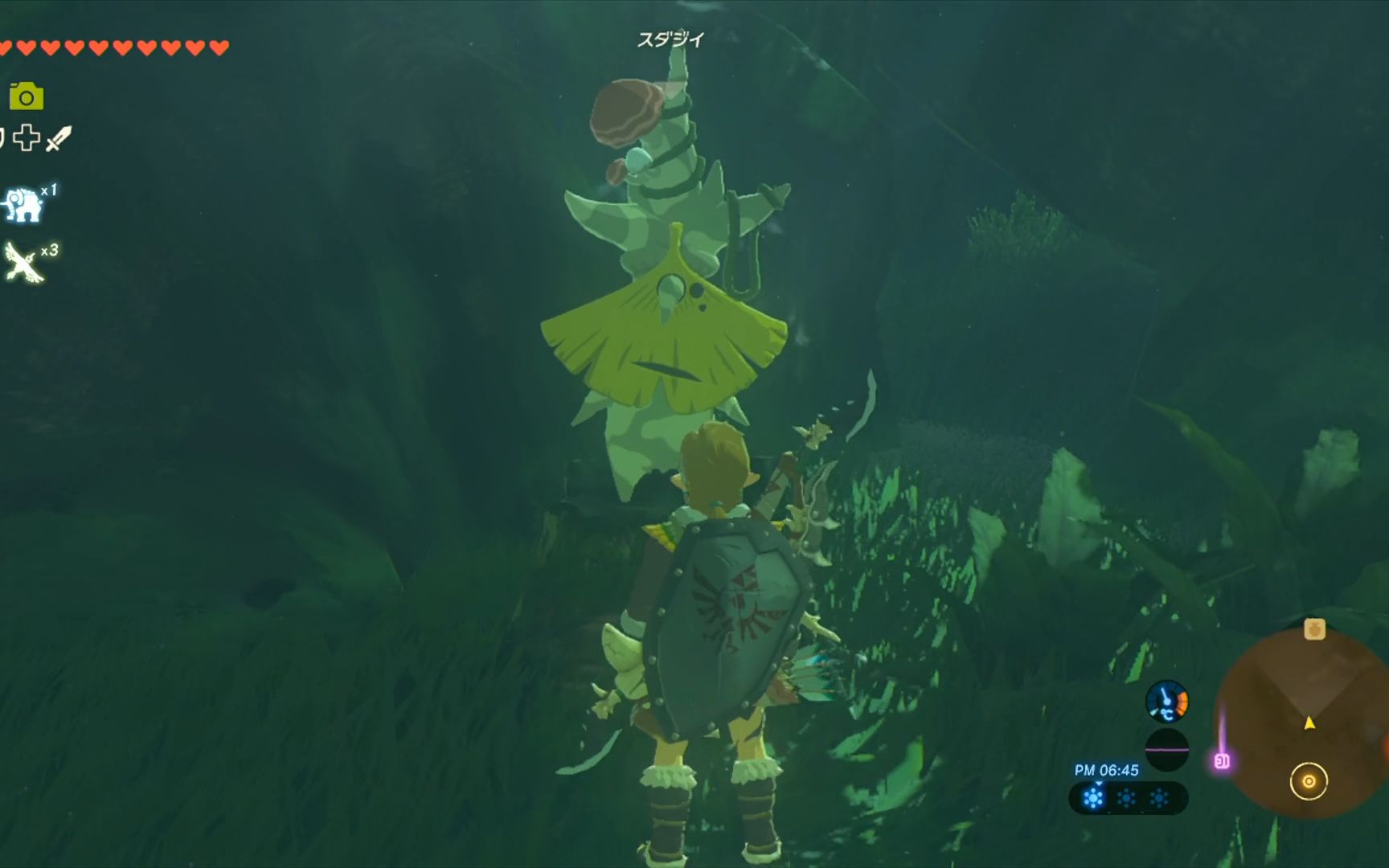 WiiU 塞尔达传说 荒野之息 初玩录像:第13章 Legend of Zelda Breath of ...