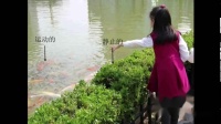 三年级科学 运动与位置