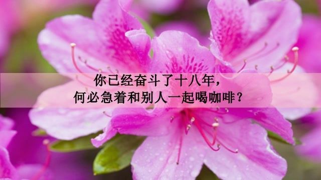 人生励志:你已经奋斗了十八年,何必急着和别人一起喝咖啡?
