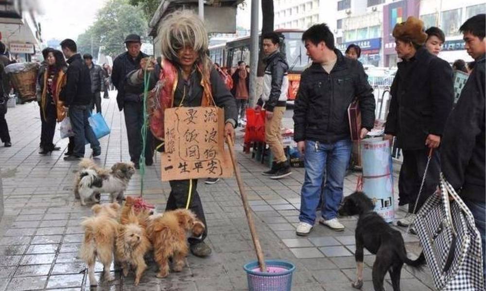 乞丐老人带狗狗上街乞讨,牌子上写的内容,让路人看了泪流满面!