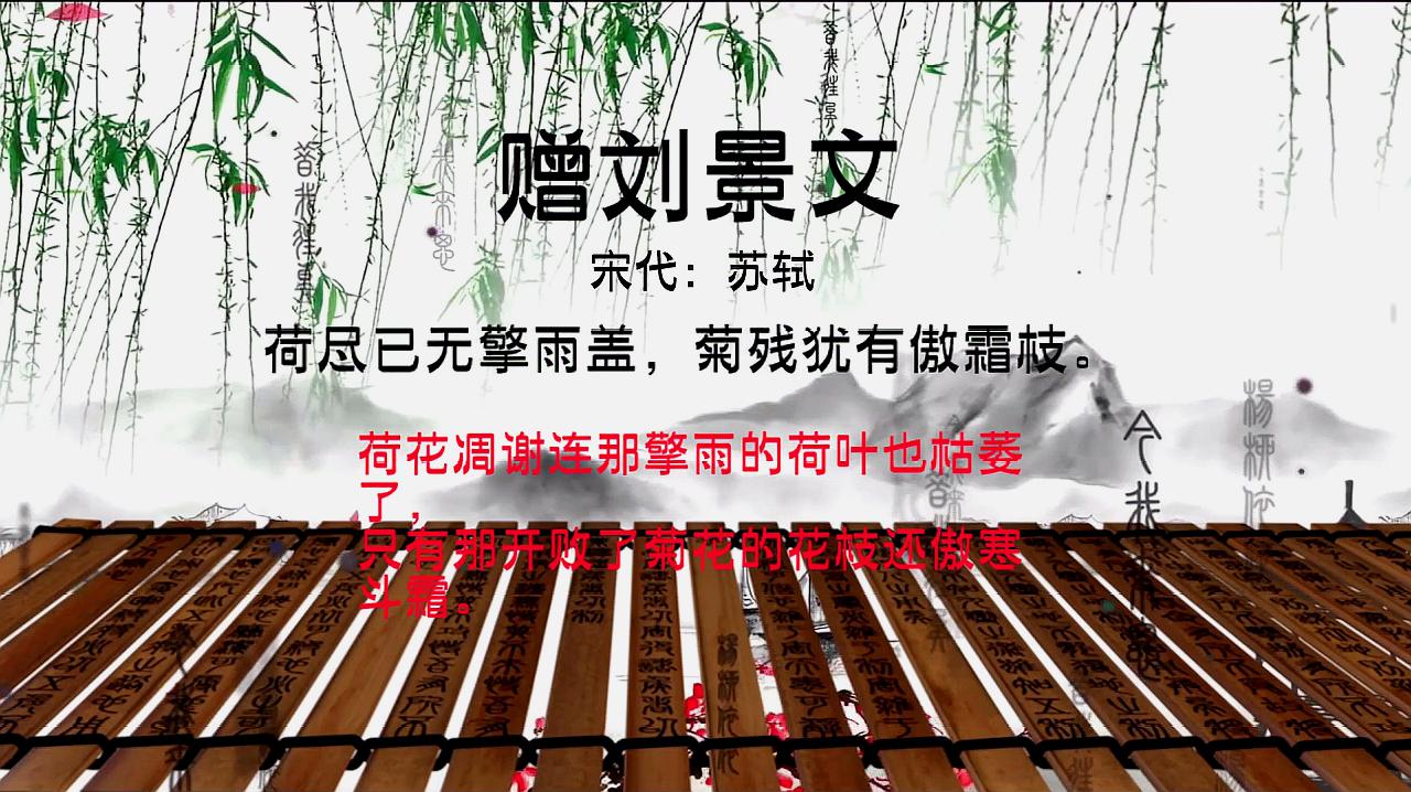 古诗朗诵:苏轼《赠刘景文》荷尽已无擎雨盖,菊残犹有傲霜枝