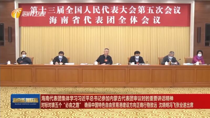 ...新闻联播]海南代表团集体学习习近平总书记参加内蒙古代表团审议时...