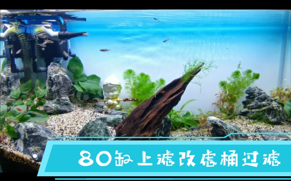 80缸上滤改虑桶过滤