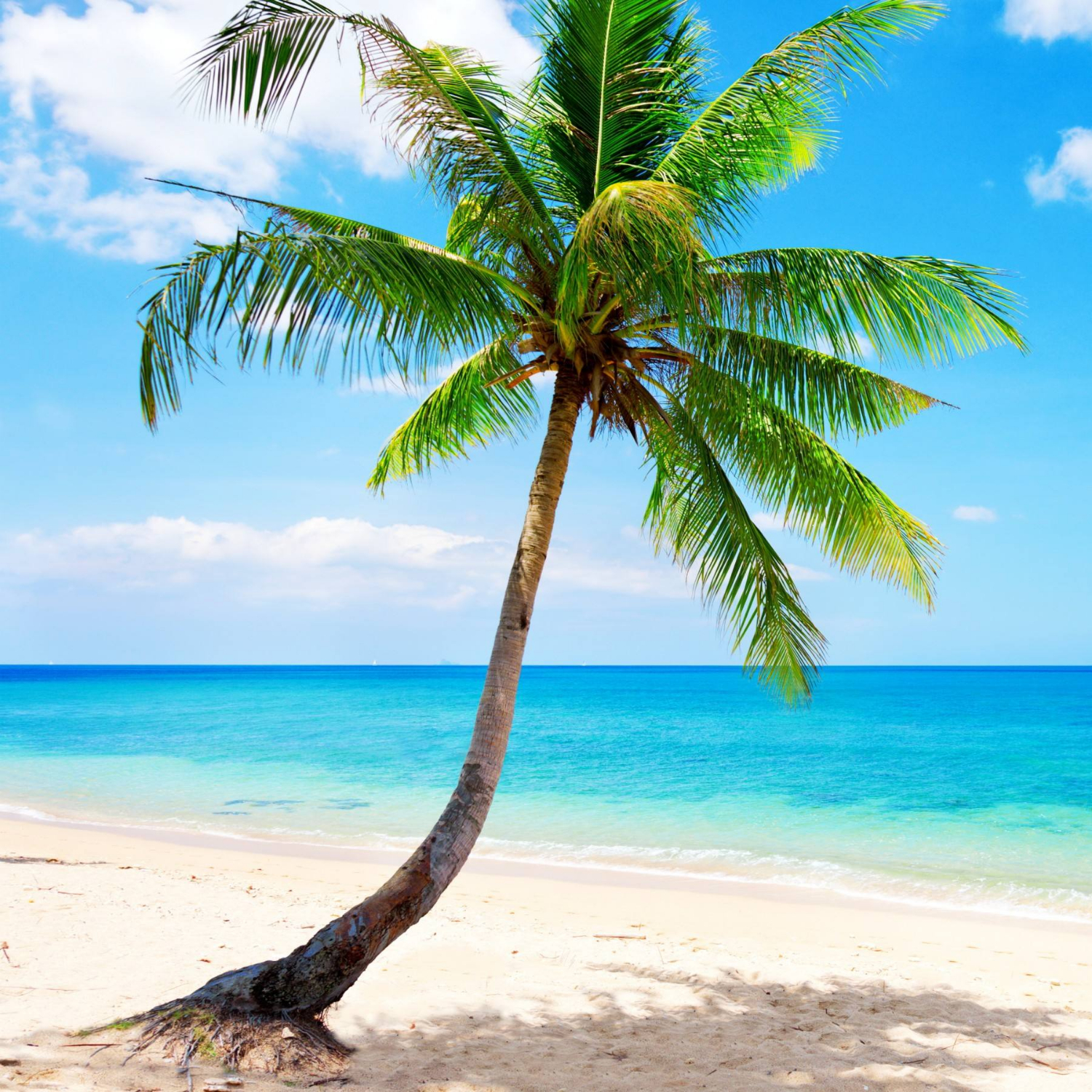 生活常用小常识 