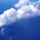 猫咪和糖果的故事 