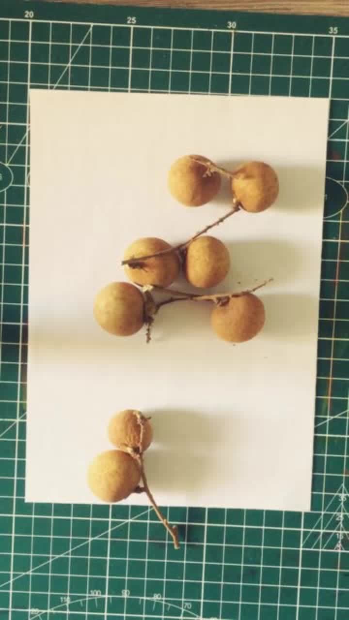 简单易学儿童画 简笔画