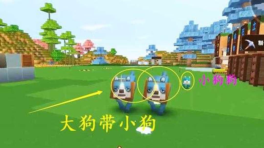 迷你世界66:我用奇怪的肘子喂狗,生出了1只可爱的小狗狗