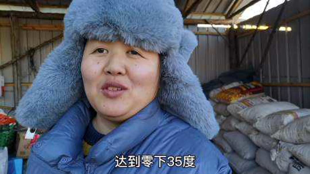 东北室外是天然大冰箱,冻梨能当防身武器,酒要喝冷藏的才不拔牙