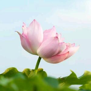 红明HM666888899999 