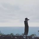 Mino的后花园