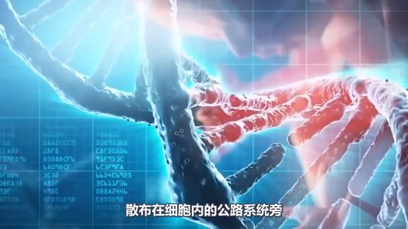 病毒如何防治?詳細揭露:病毒入侵人體的全過程!