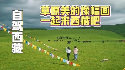 自驾游西藏 看到这样的美景惊呆了 草原美的像幅画