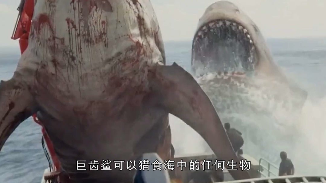 电影里令人胆寒的巨齿鲨:真是水里最凶猛的动物吗?