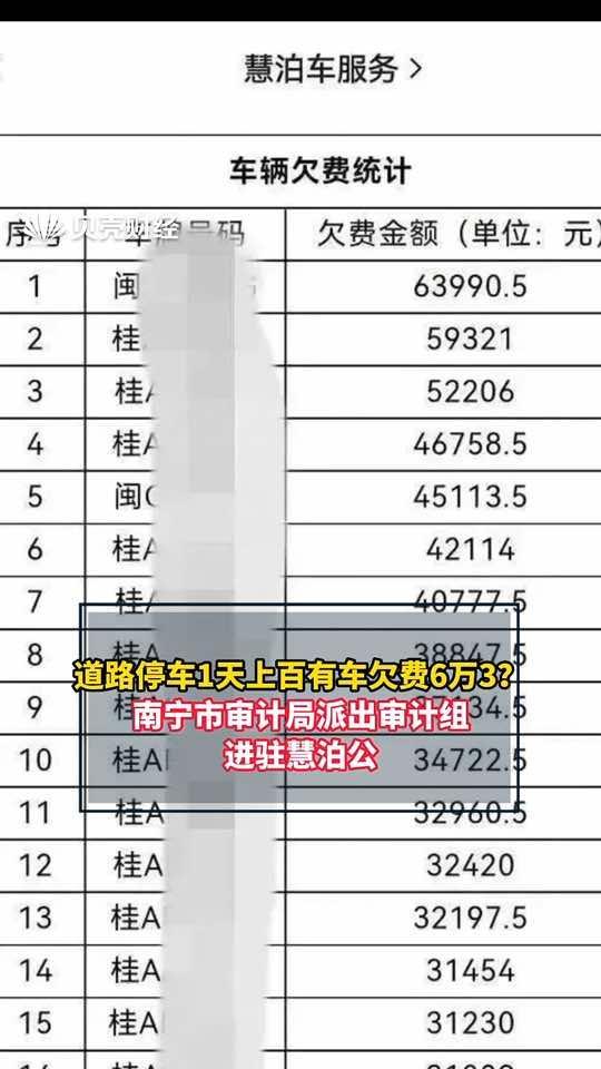 道路停车1天上百有车欠费6万3?#南宁市审计局派出审计组 ,进驻慧泊...