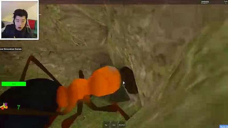 小飞象解说Roblox蚂蚁模拟器搞笑模拟小蚂蚁!