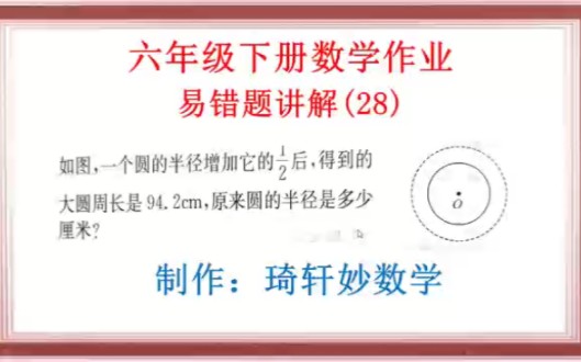 六年级下册数学作业易错题讲解(28)