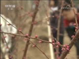 [朝闻天下]习近平在参加首都义务植树活动时强调 像对待生命一样对待...