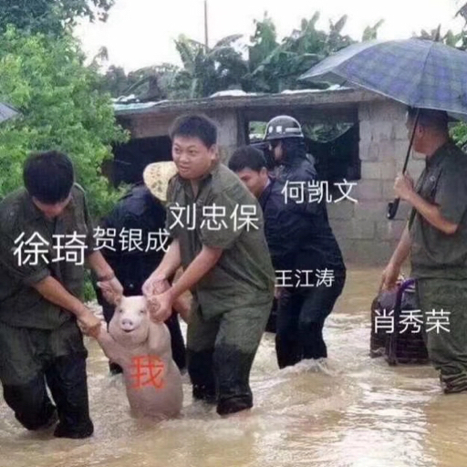 我爱学习和手工 