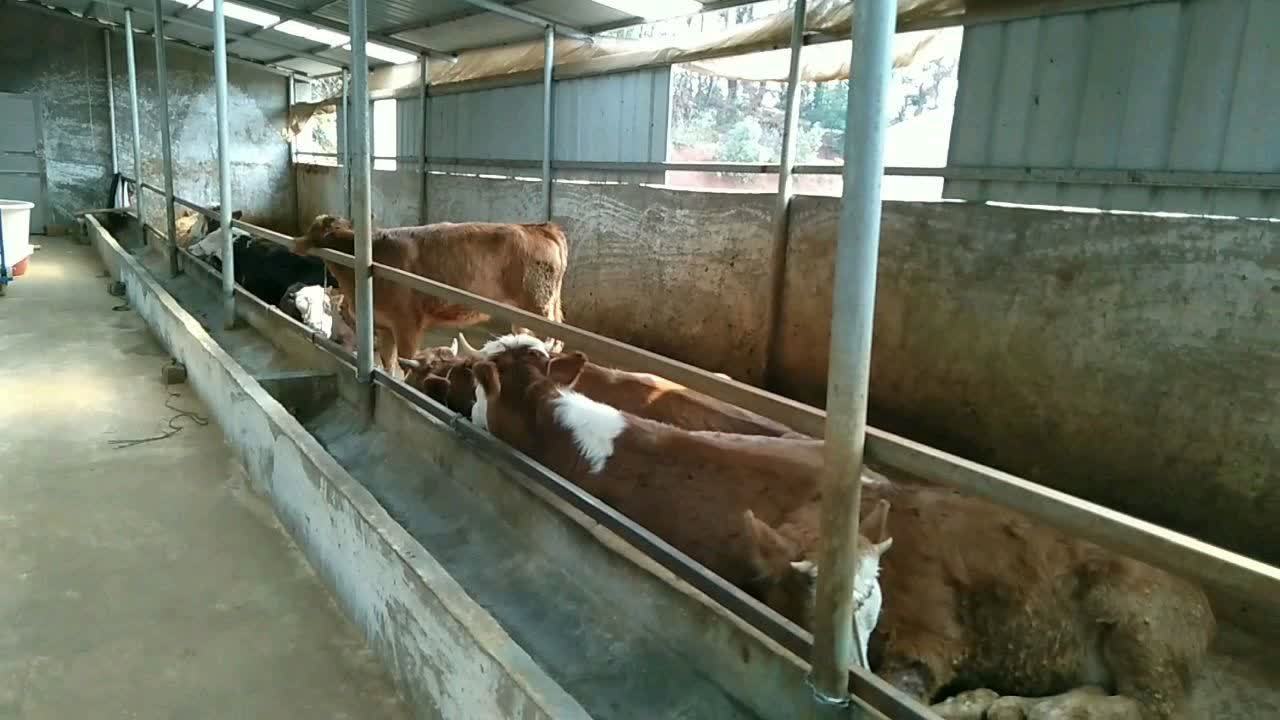 ./b>"最牛"的多元化生态养殖方案,成功了效益.