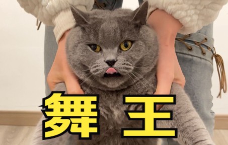 卡塔尔黑王子倾情演绎新概念世界杯舞蹈