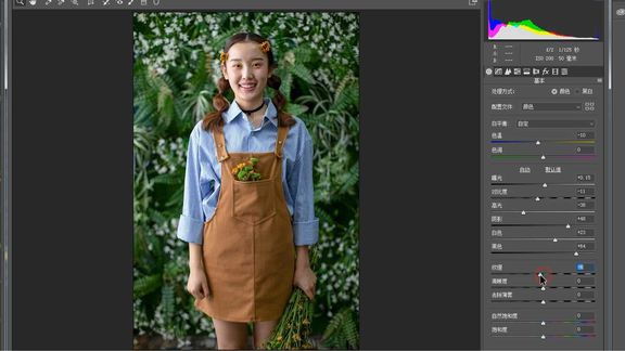 PS实用技巧教程,清新写真调色思路讲解