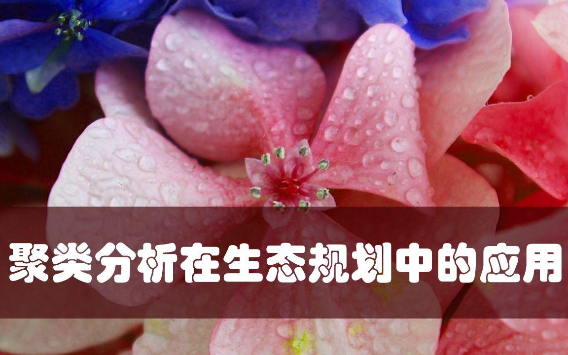 聚类分析在生态规划中的应用