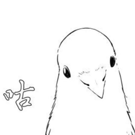 废柴鸽德 