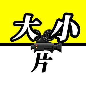大小片 
