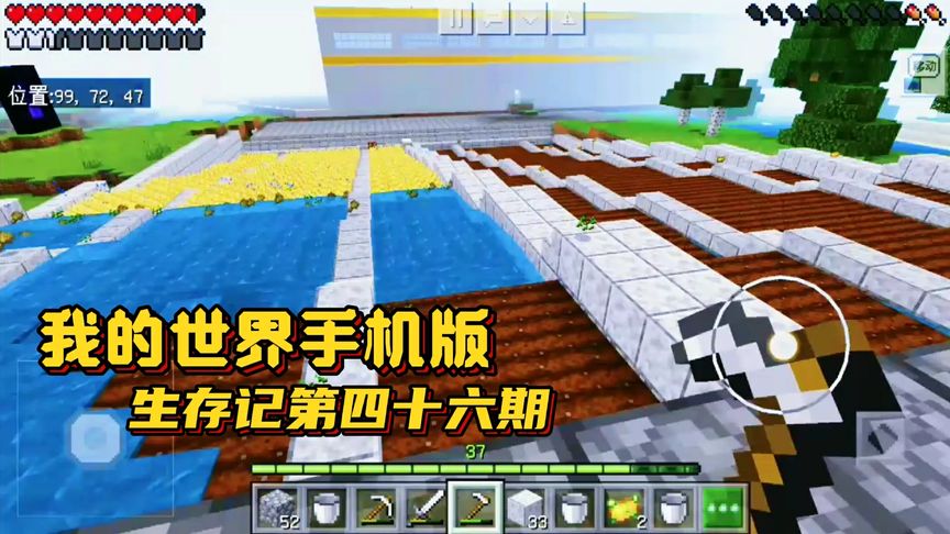 我的世界手机版生存记第46期,生存必备全自动农场建造完成