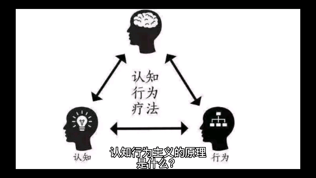 认知行为主义的原理是什么?