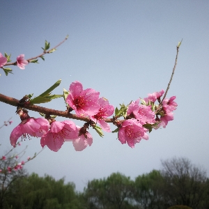 博弈人生穷理尽性 